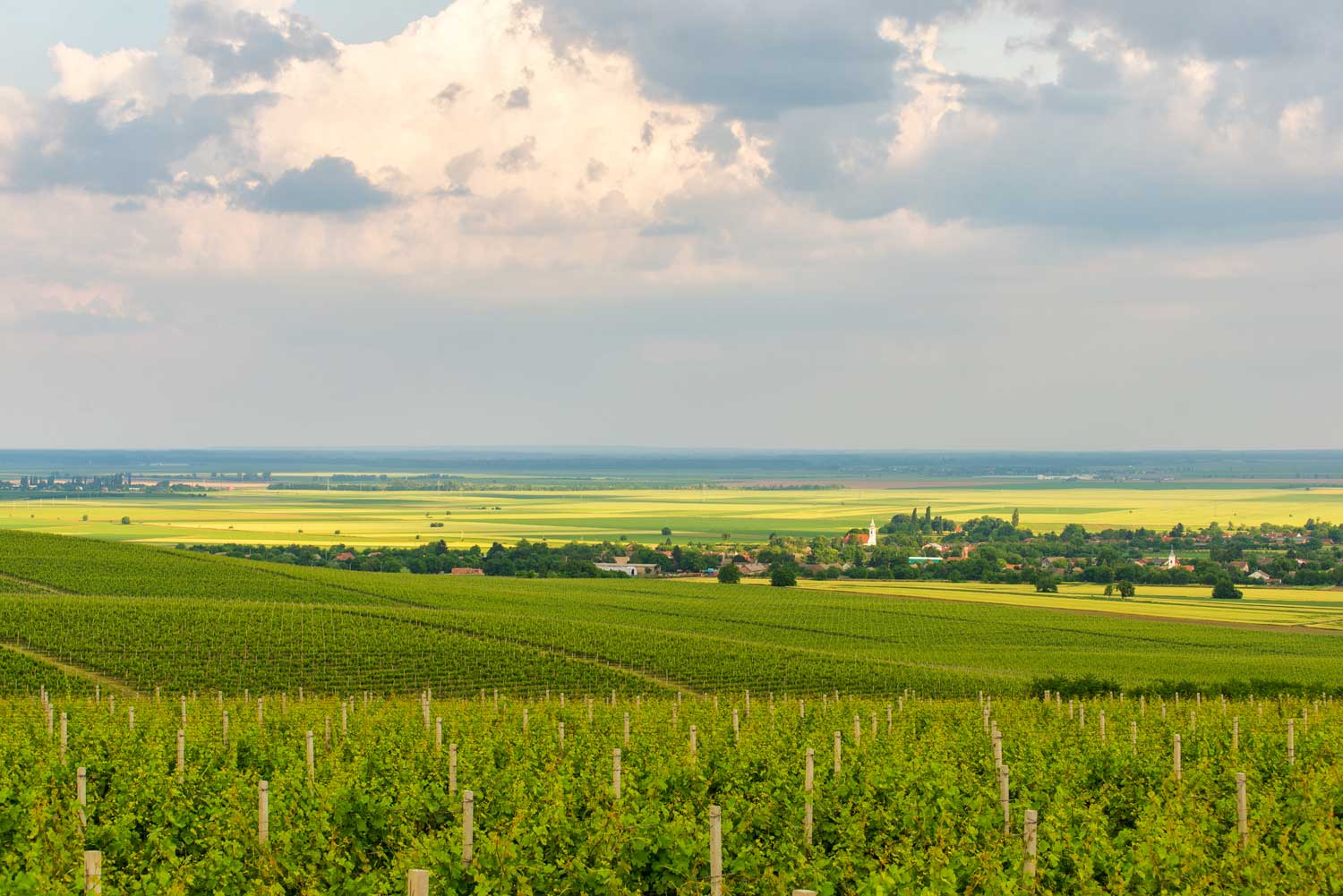 About Baranja – Visit Baranja